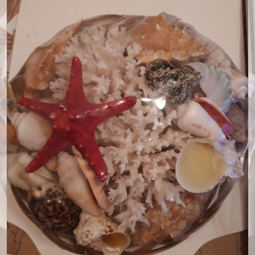 Индийс.океан.Аква/декор подарочн.в корзине.Эксклюз