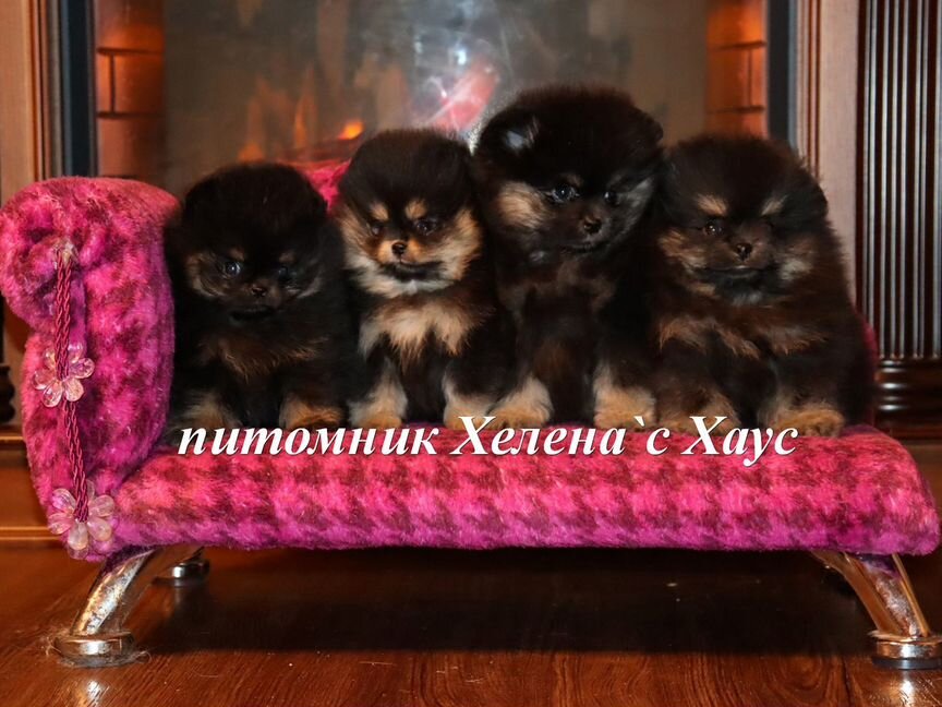 Кукольные малыши