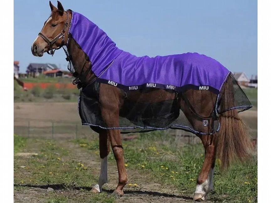 Продам подпруги, нагавки, бинты, попону