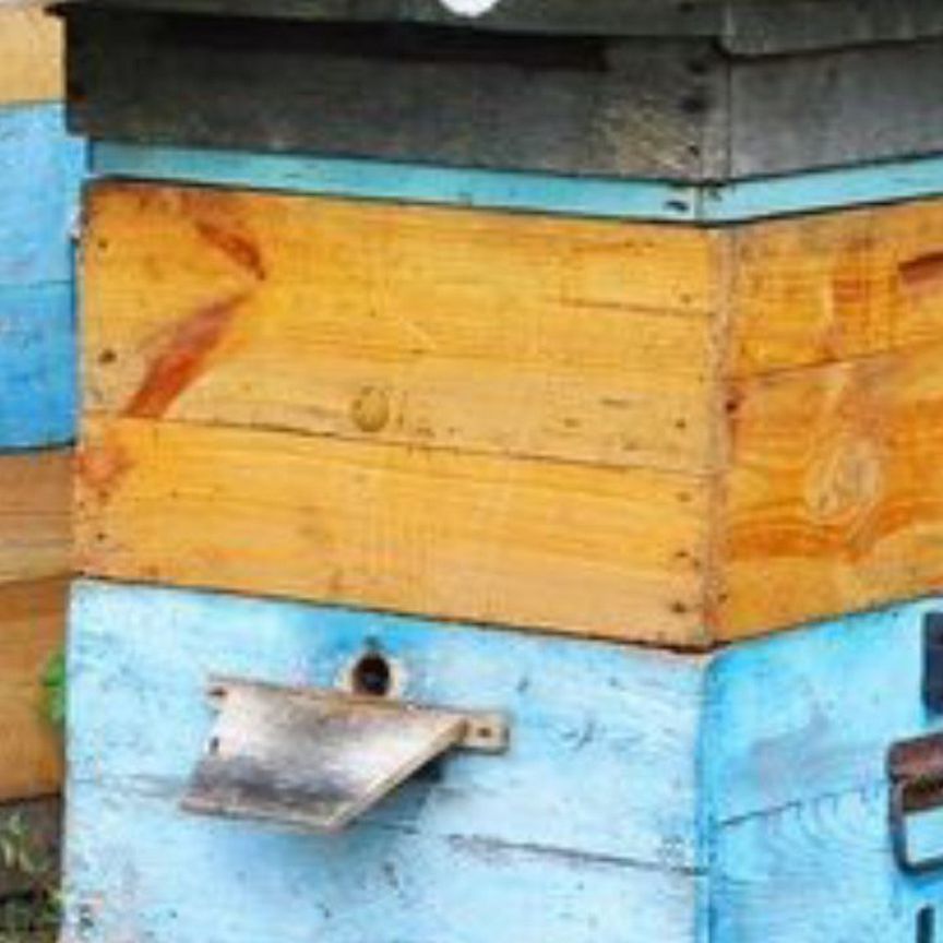 Продам домики для пчёл и весь инвентарь