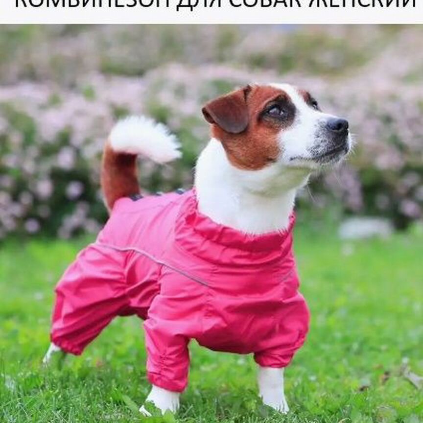 Комбинезон для собак малых и средних парод