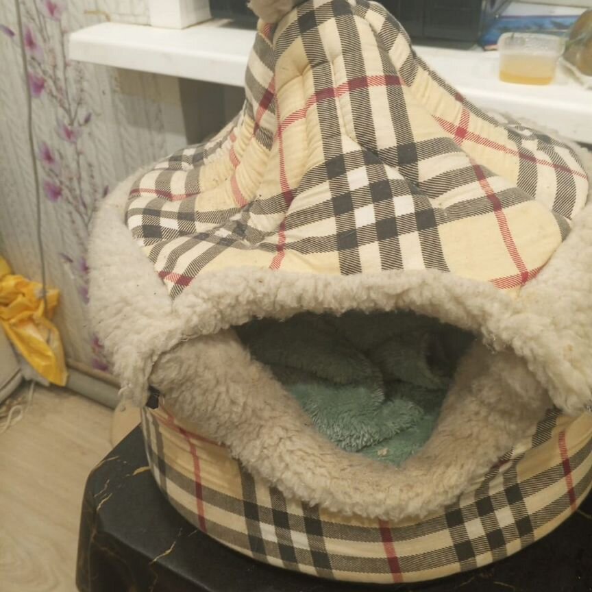 Лежак для кошки бу