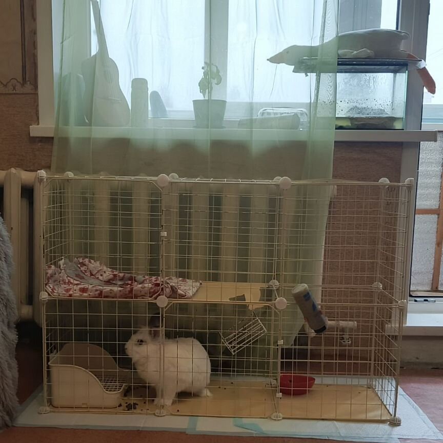 Клетка для кролика