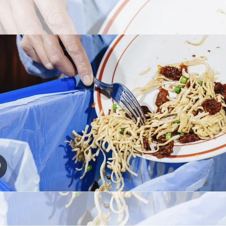 Пищевые отходы для животных