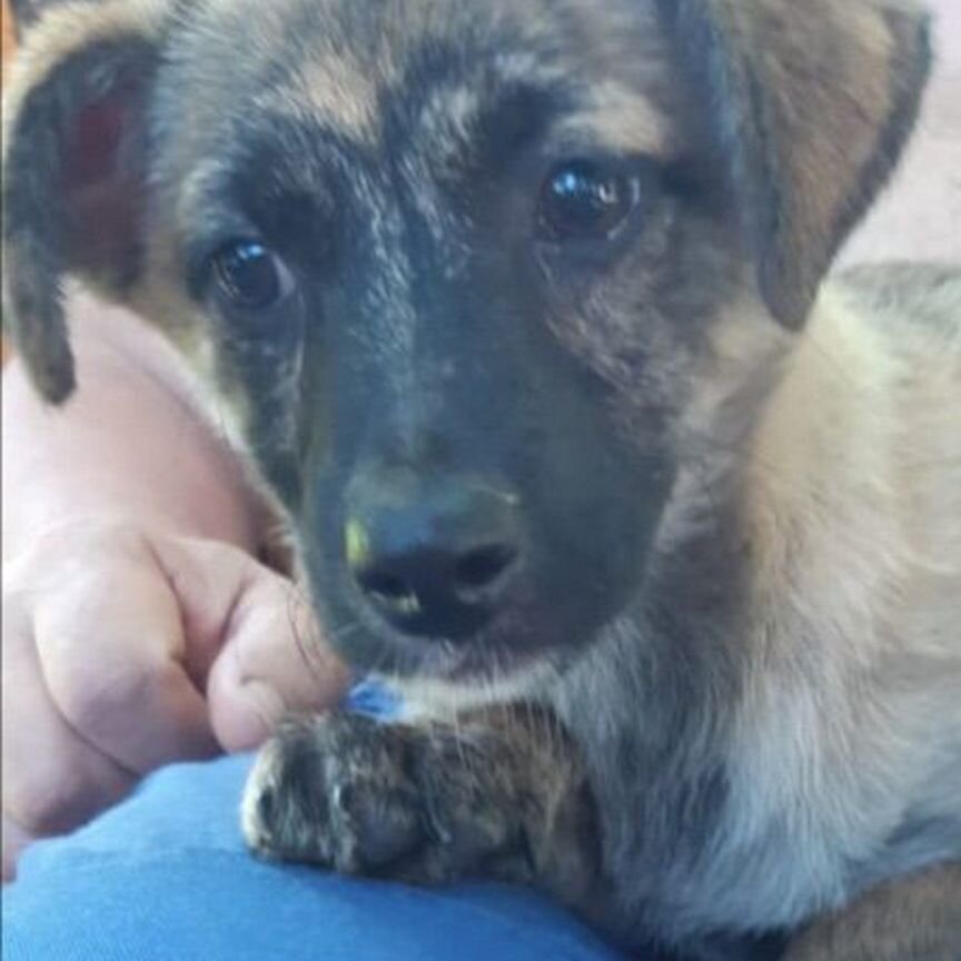 Две девочки малышки