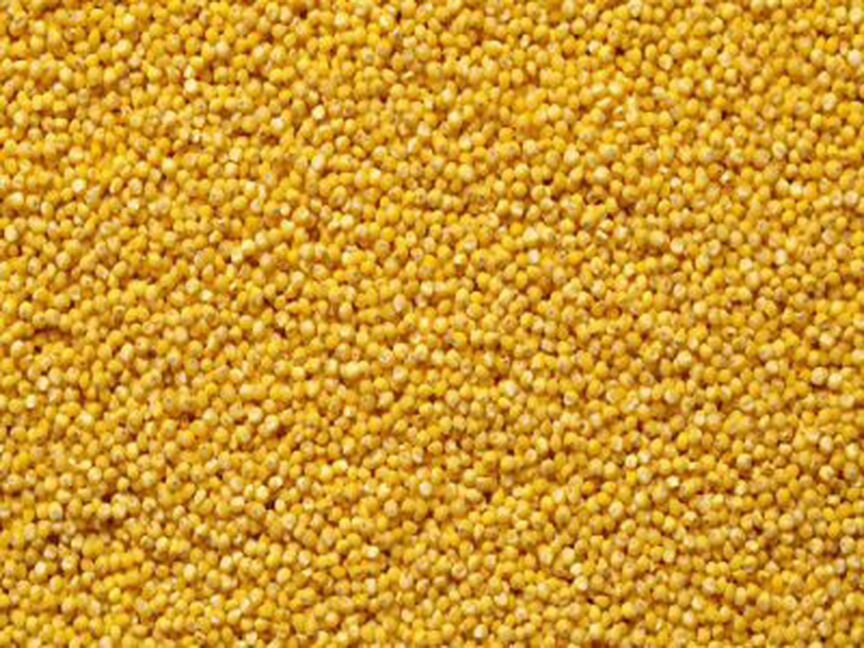 Продам пшено