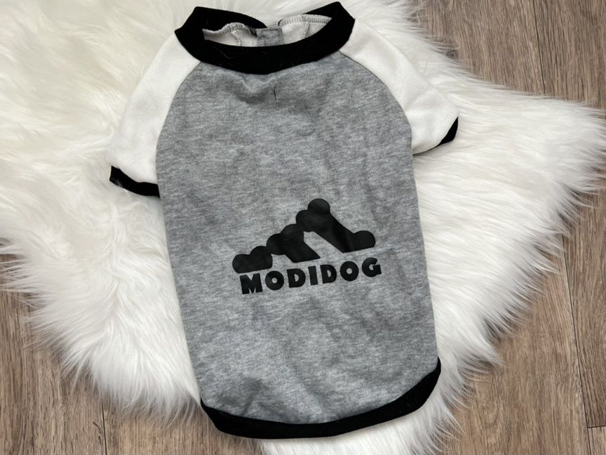 Одежда для собак