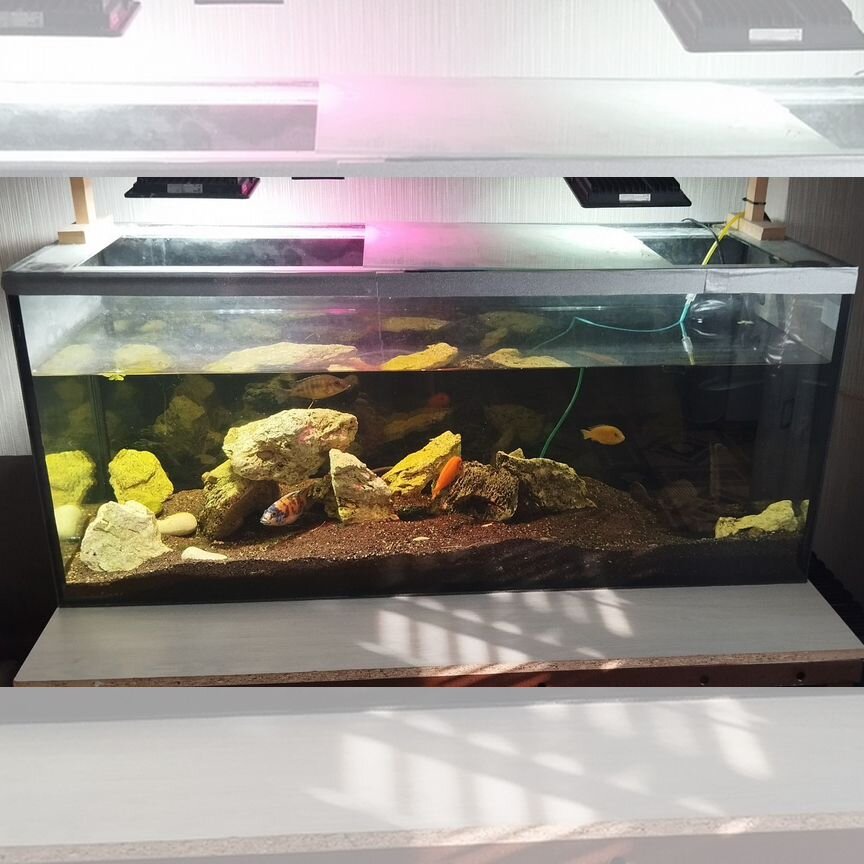 Аквариум с рыбками 230л