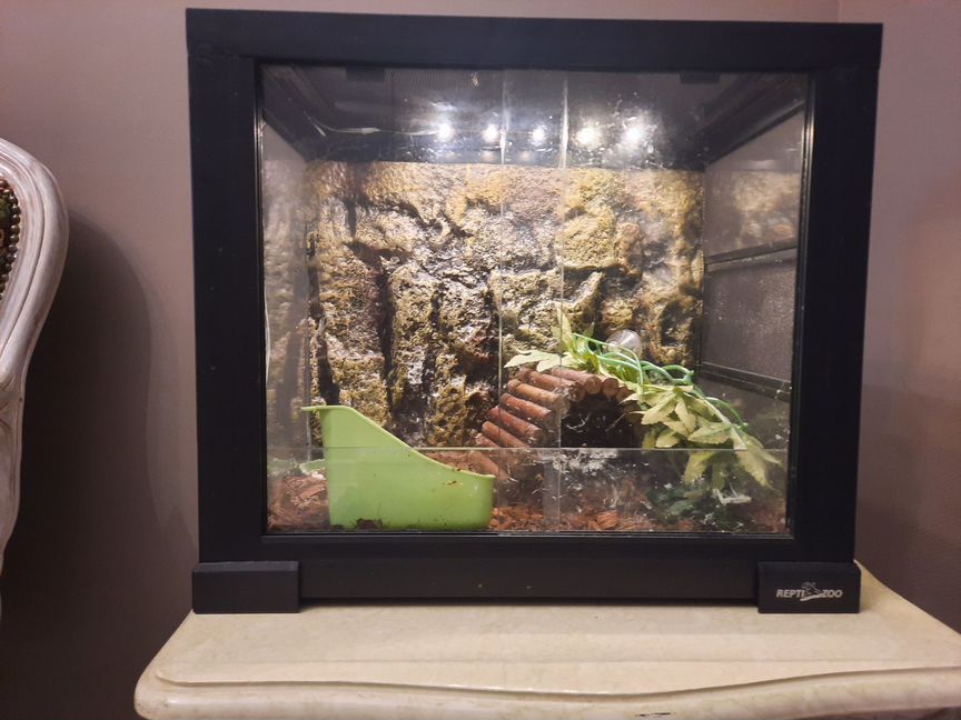 Террариум для улиток