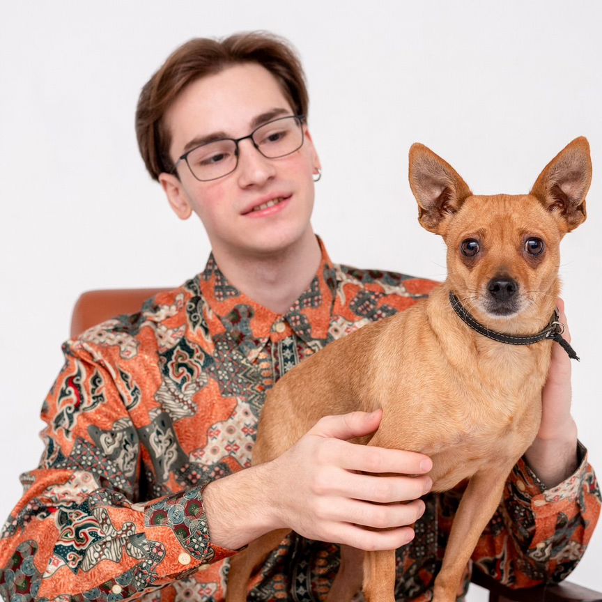 Собака в добрые руки