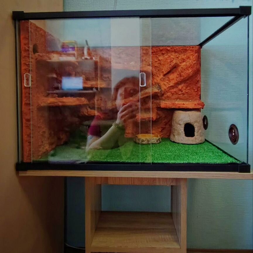 Террариум с 3D фоном