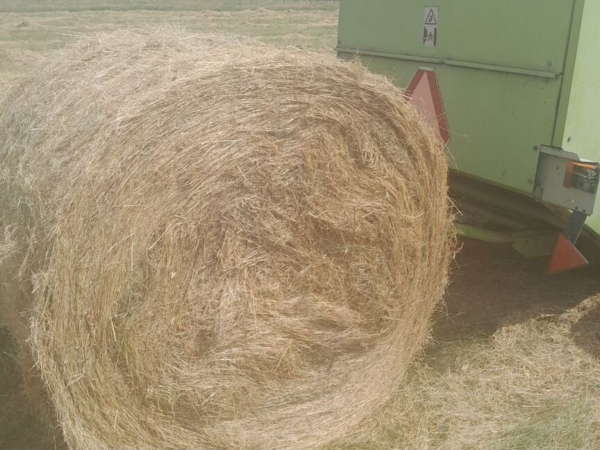 Сено в рулонах