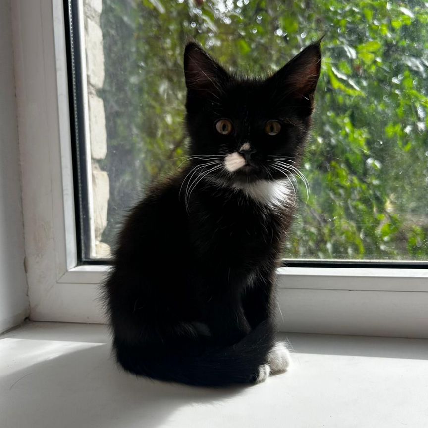 Очаровательный малыш