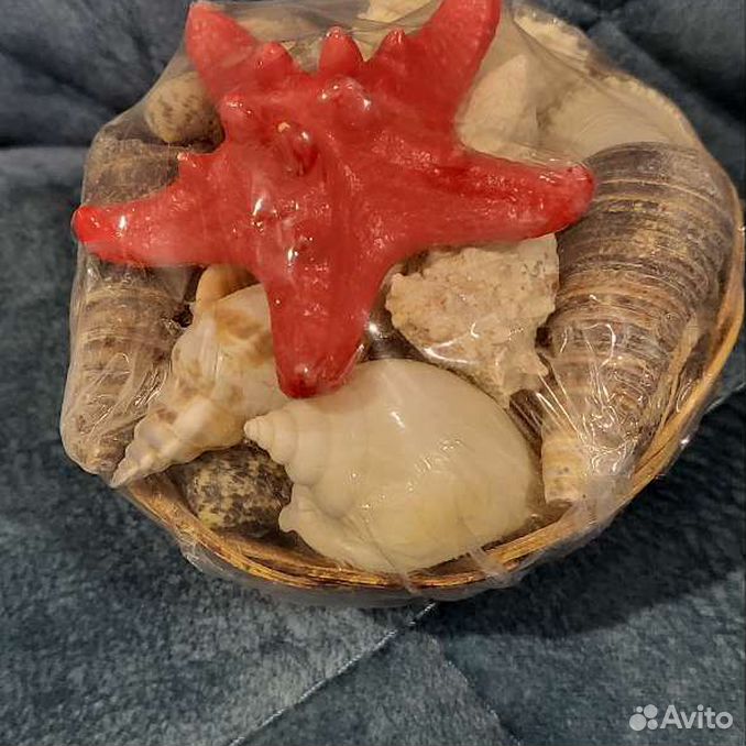 Морские ракушки в корзине