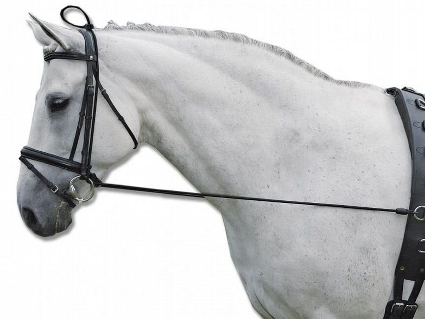 Шамбон для лошади