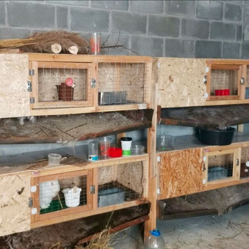 Клетка для кроликов