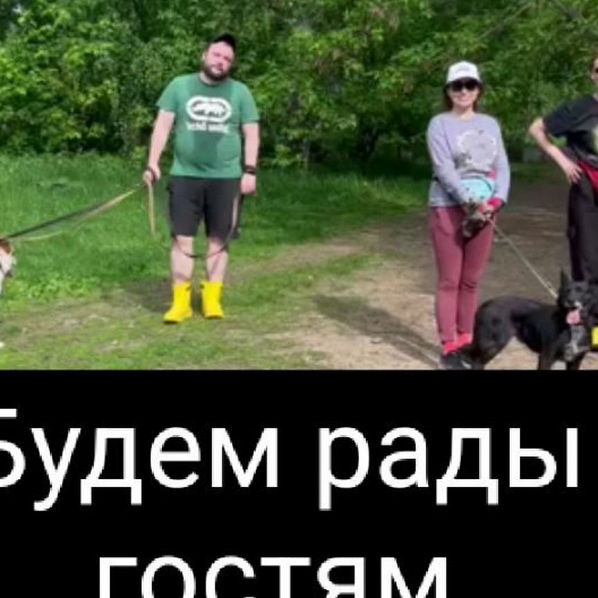 Взрослая собака в добрые руки