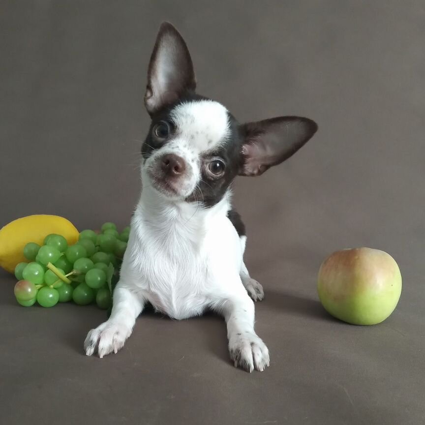 Канапушечка