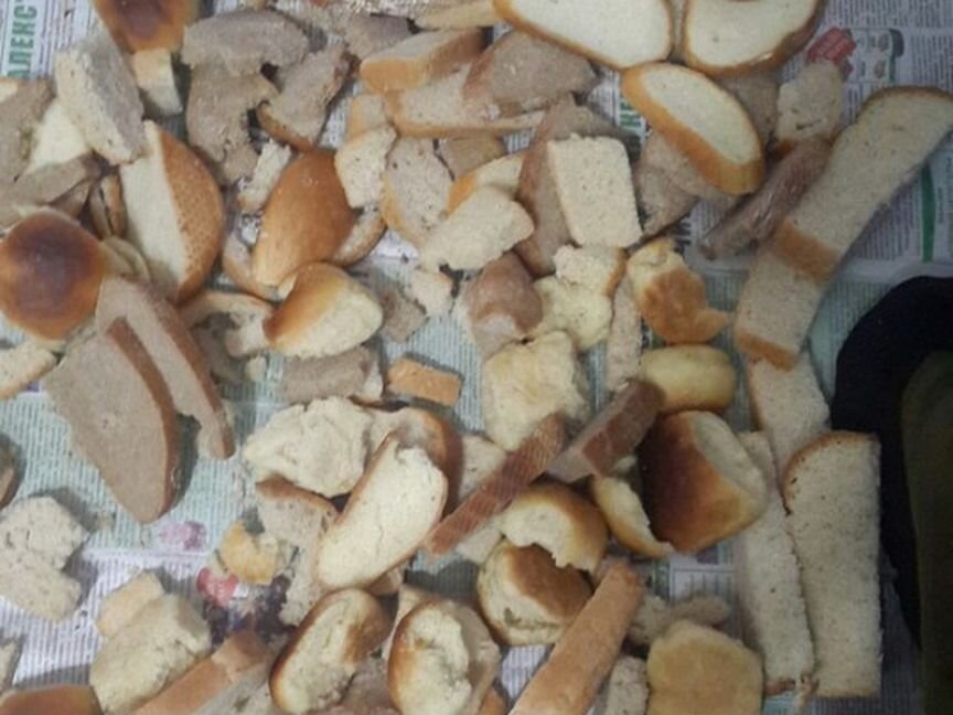 Корм для птиц несушек