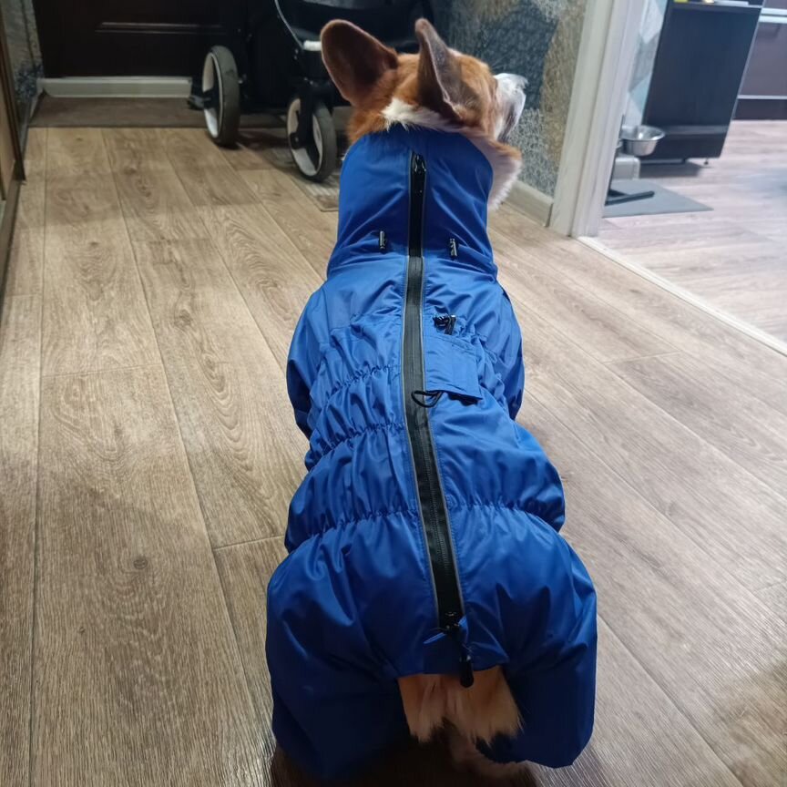 Костюм для собак весна-осень