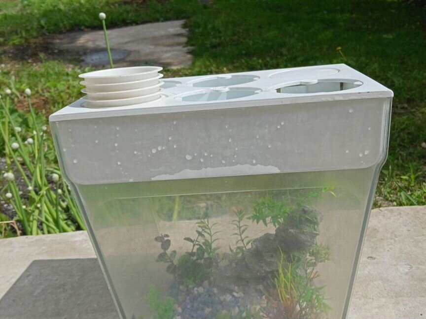 Аквариум с отделение для растений; Флорариум