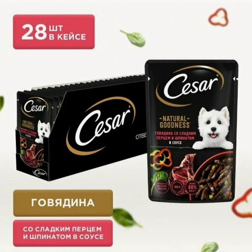 Cesar паучи