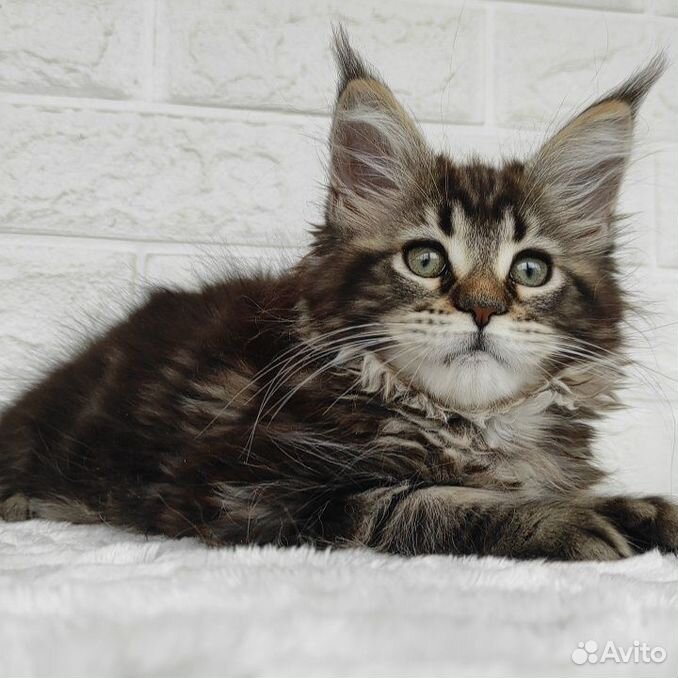 Девочка черный мрамор