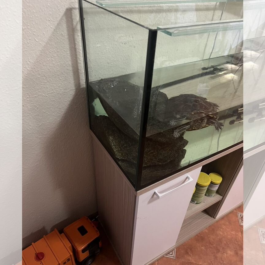 Черепаха с аквариумом и комплектующими