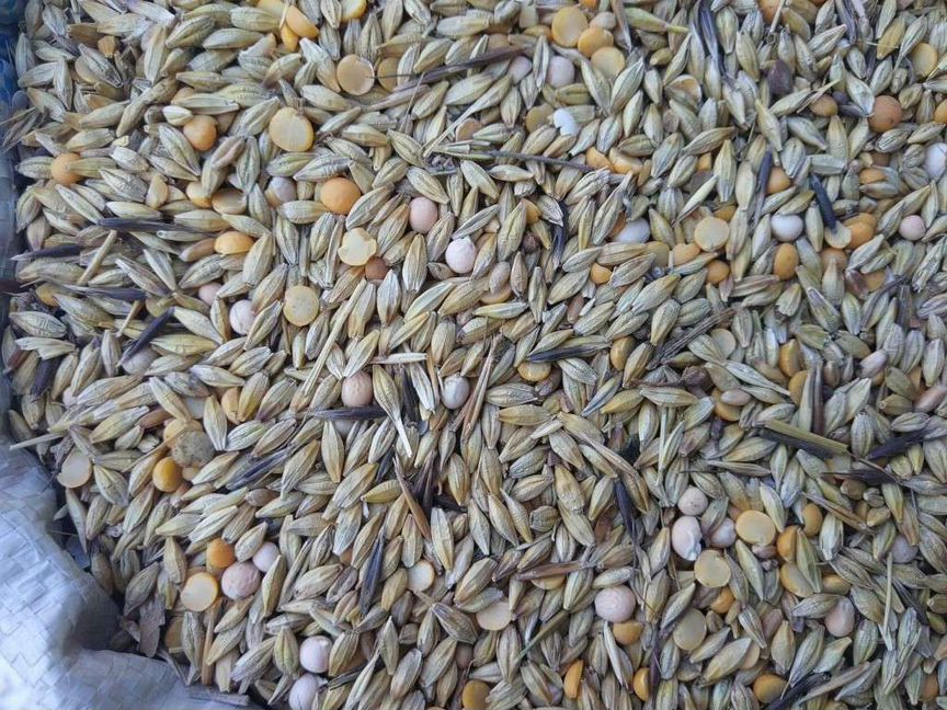 Зерноотходы