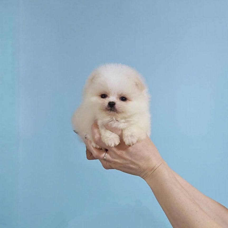 Мальчик супер мини