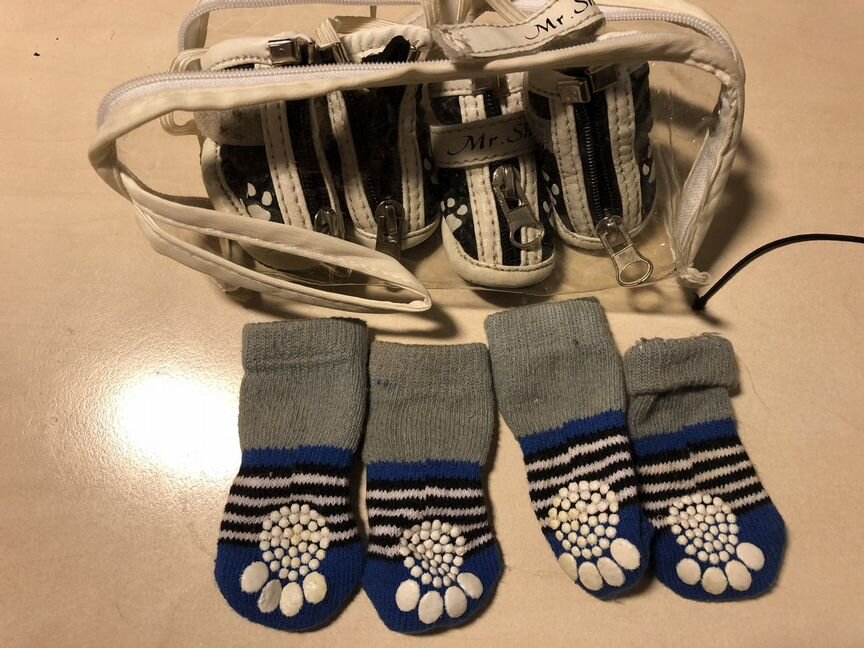 Ботинки и носки для маленьких пород собак