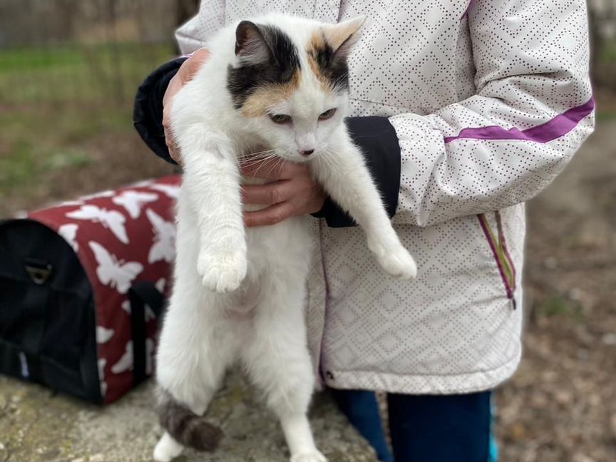 Хочет домой