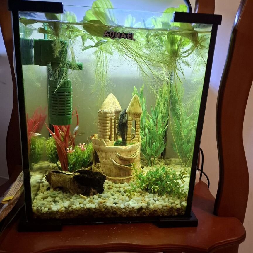 Аквариум куб