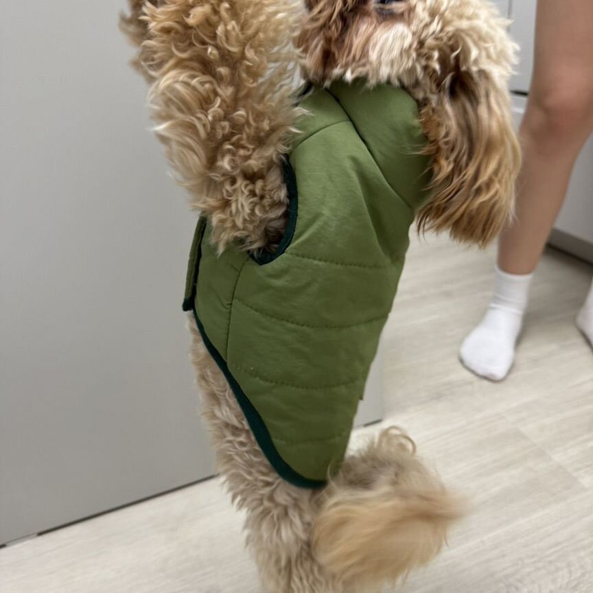 Комбинезон для собаки