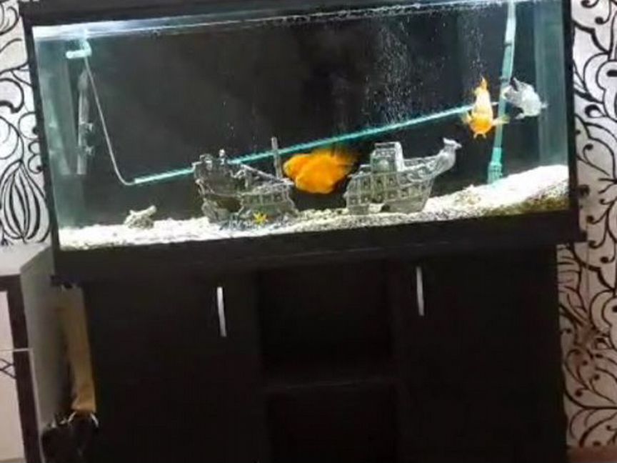 Аквариум с тумбой 300 литров