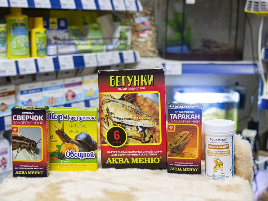 Корм для рептилий, ящериц и змей