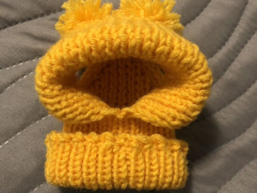 Шапочка для маленькой собачки