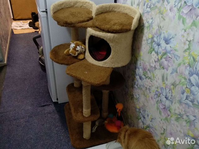 Домик для кошки с когтеточкой купить в Москве | Животные и зоотовары ...