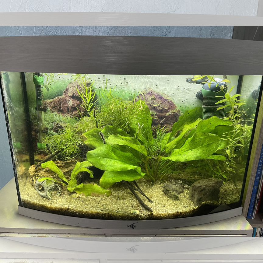 Аквариум 100л