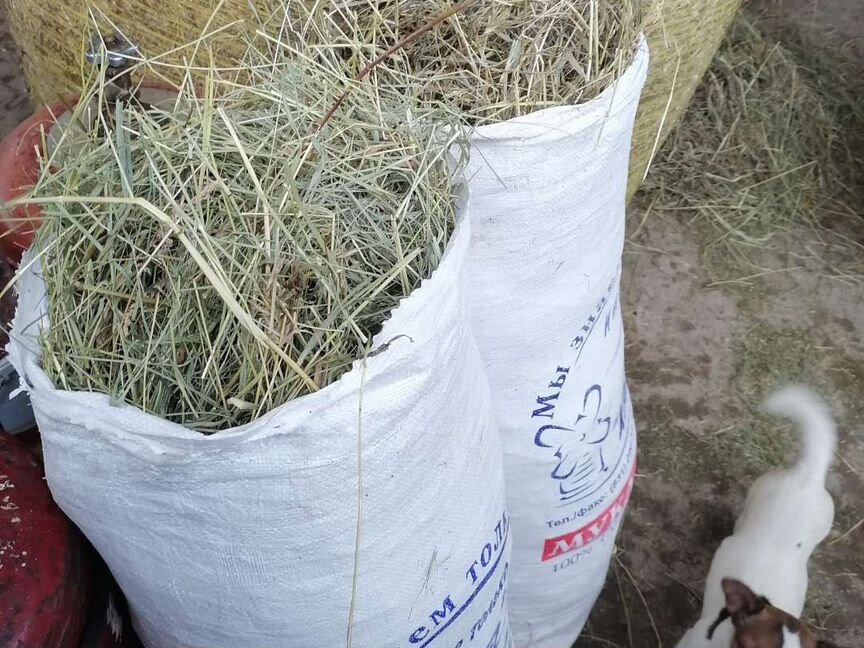 Сено луговое ароматное