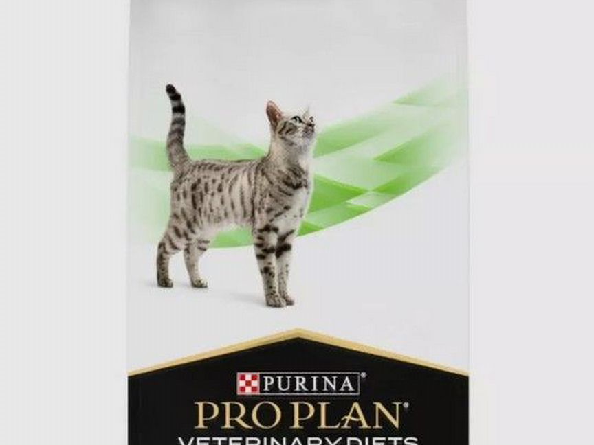 Пурина про план