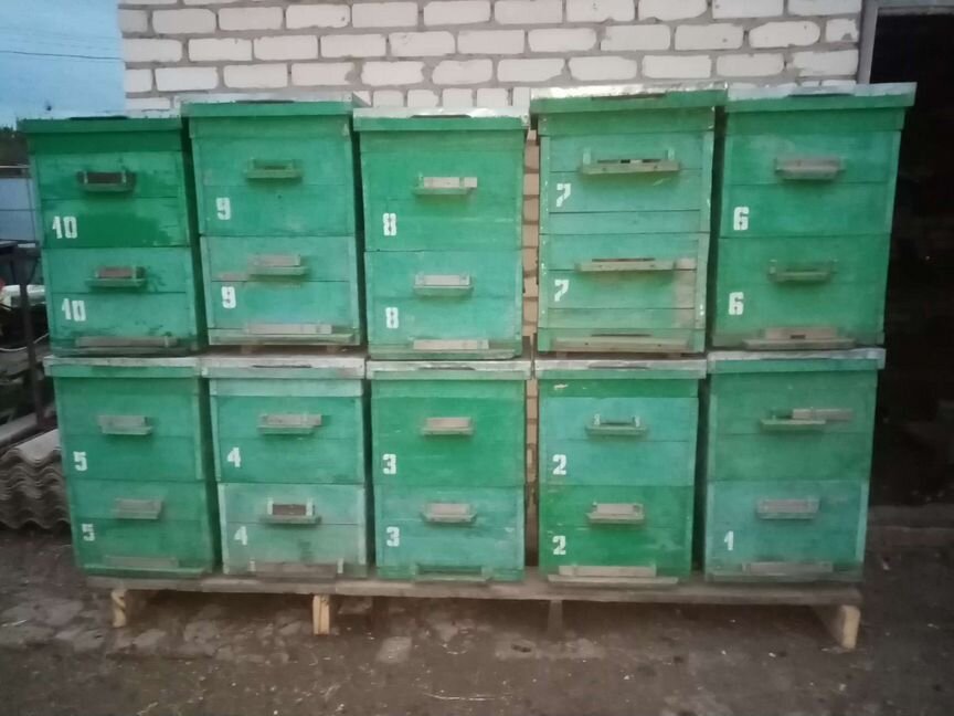 Улей