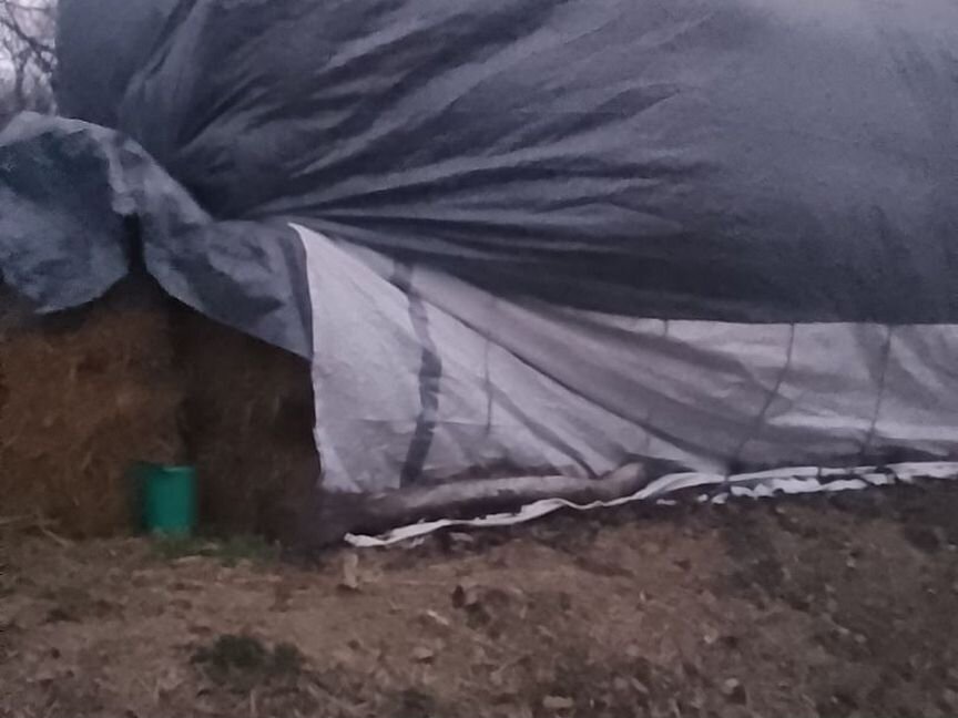 Сено- камыш