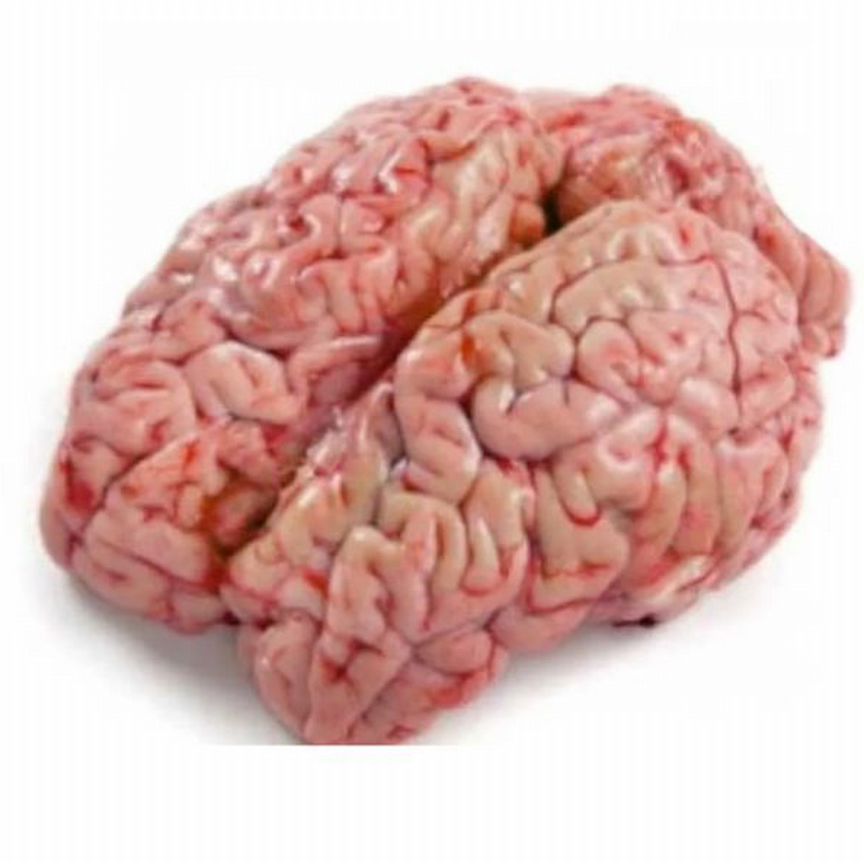 Мозги говядины
