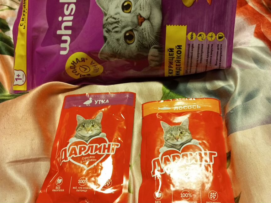 Жидкий корм