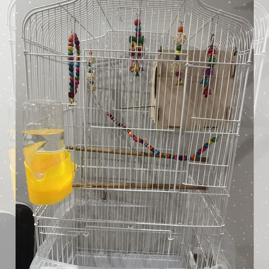 Клетка с попугаями