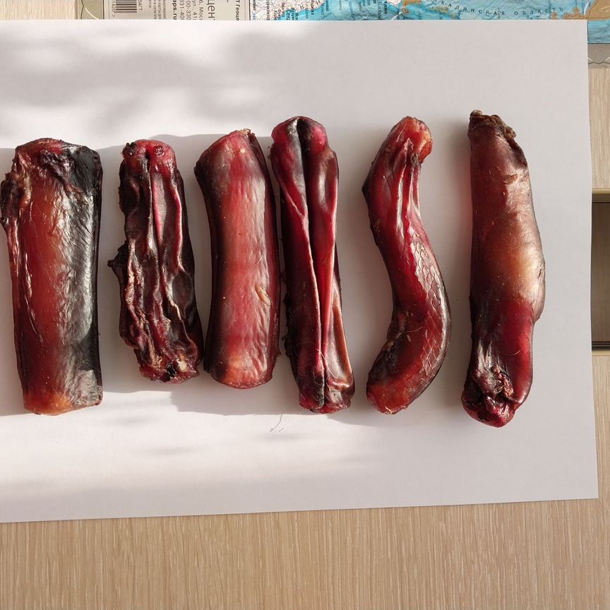 Бычий корень / лакомство для собак