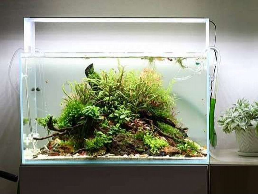 ADA aquasky 60см светильник для аквариума
