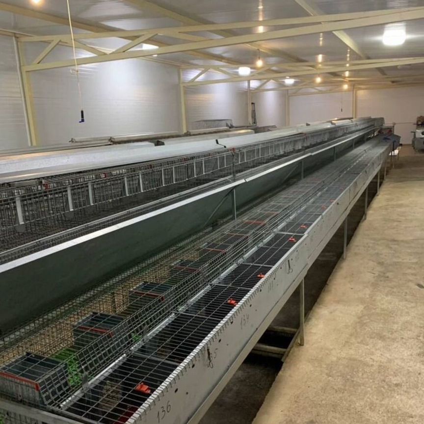 Ферма для кроликов