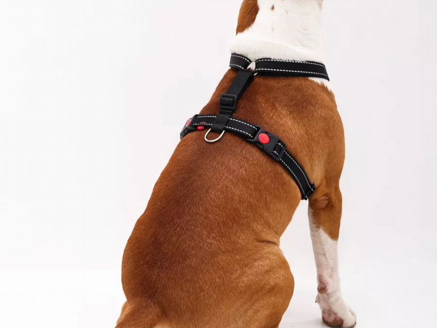 Шлейка для собак анатомическая